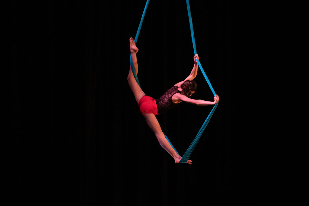 Fall 2019 Aerial Class Registration Open Now - Aerial Dance Classes ...